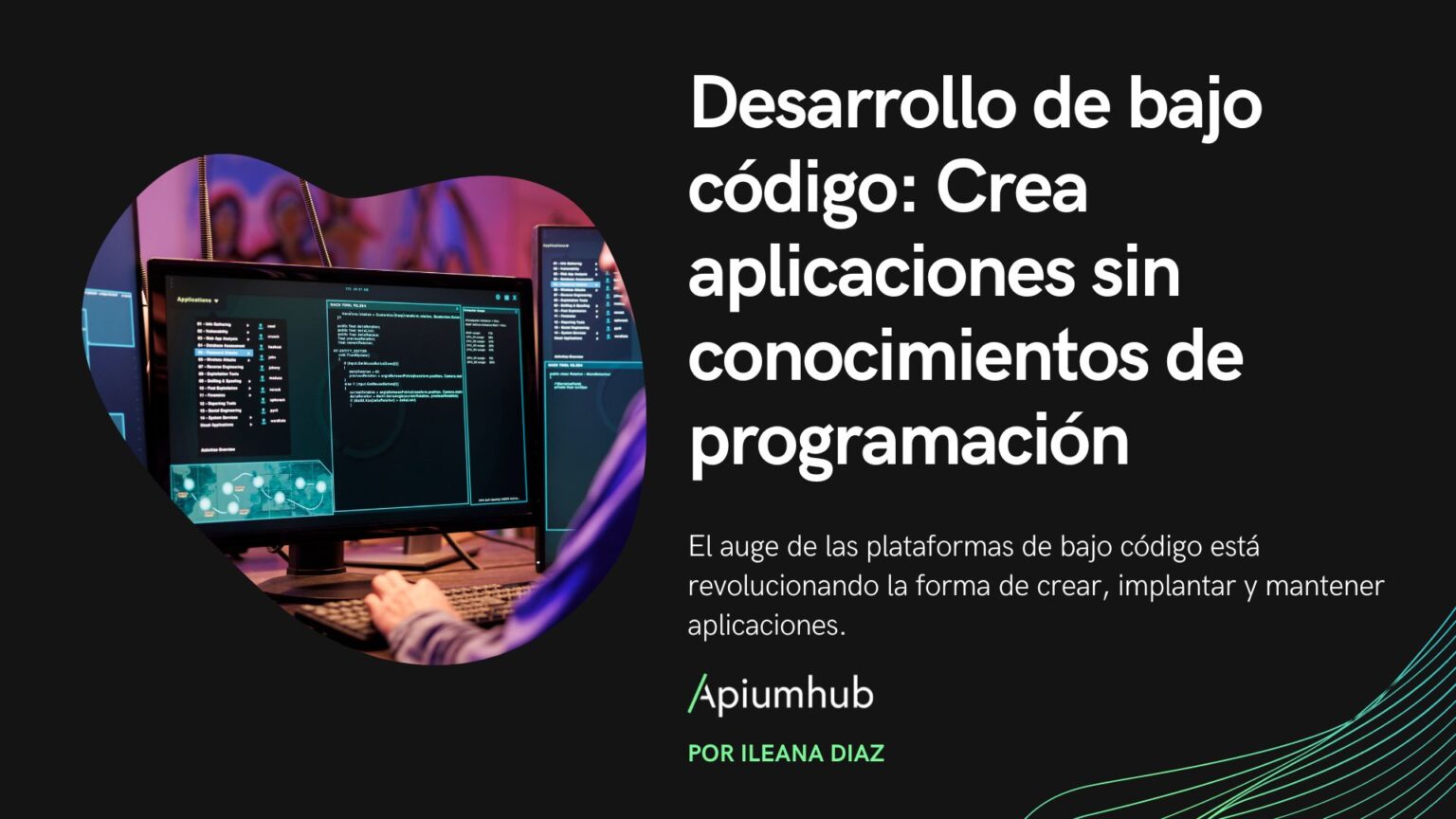 Newman Postman Collection Runner Apiumhub
